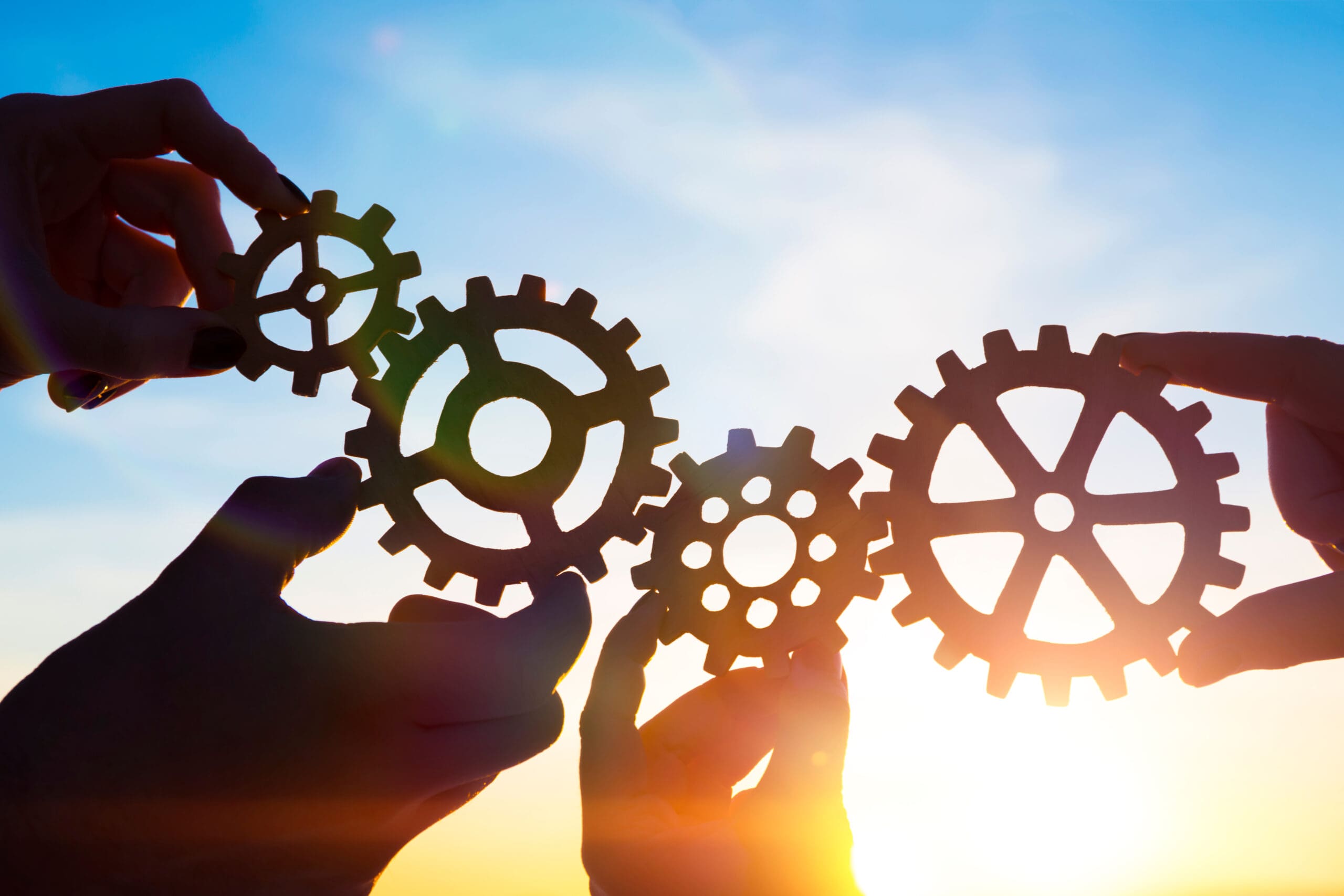 CHCollective: A New Name. The Same Familiar Names and Faces | CHCOLLECTIVE